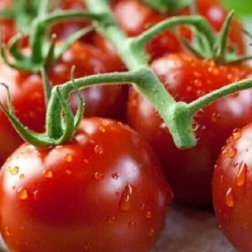 Heritage Seeds | Traditional Vegetables, Tomatoes, Herbs & Salads ...